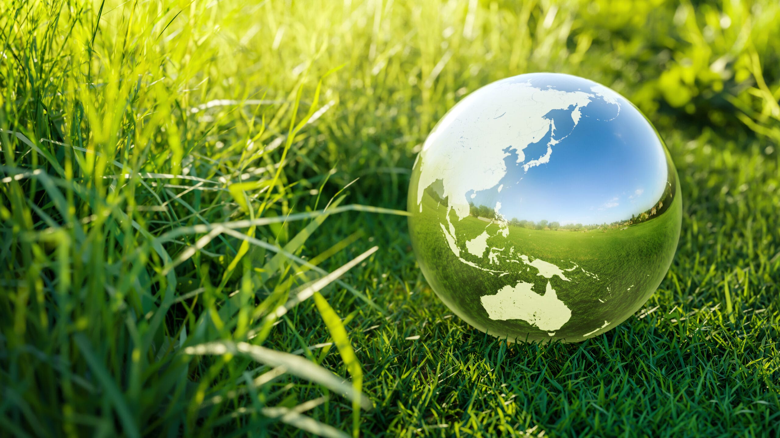 Celebrate Earth Day 2025 With Greener Earth - Greener Earth Organic ...